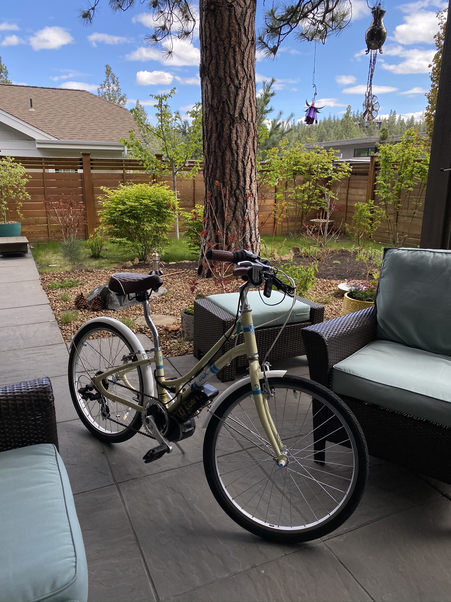 Trek Dialed – High Lakes eBikes